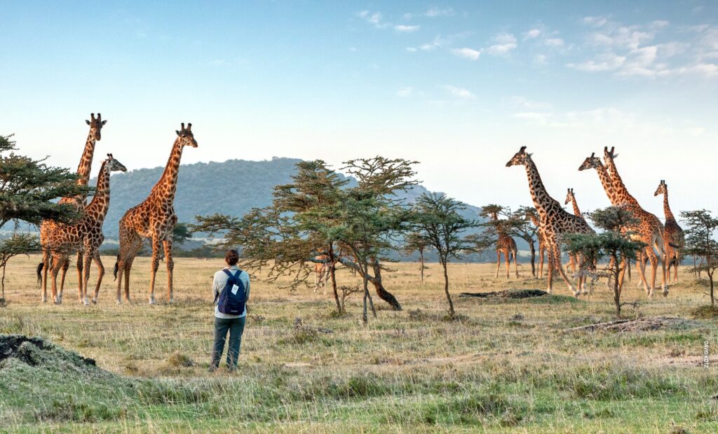 Walking Safaris - Simba Land Magic Tours