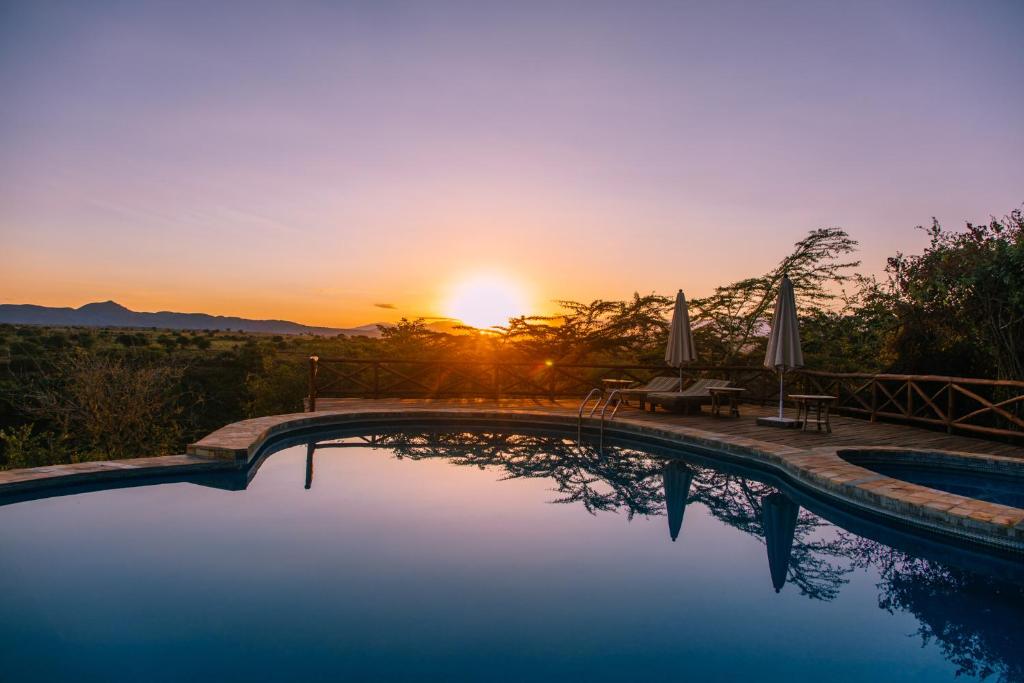 4-Day Luxury Safari Iconic Tarangire, Crater & Manyara - Simba Land ...